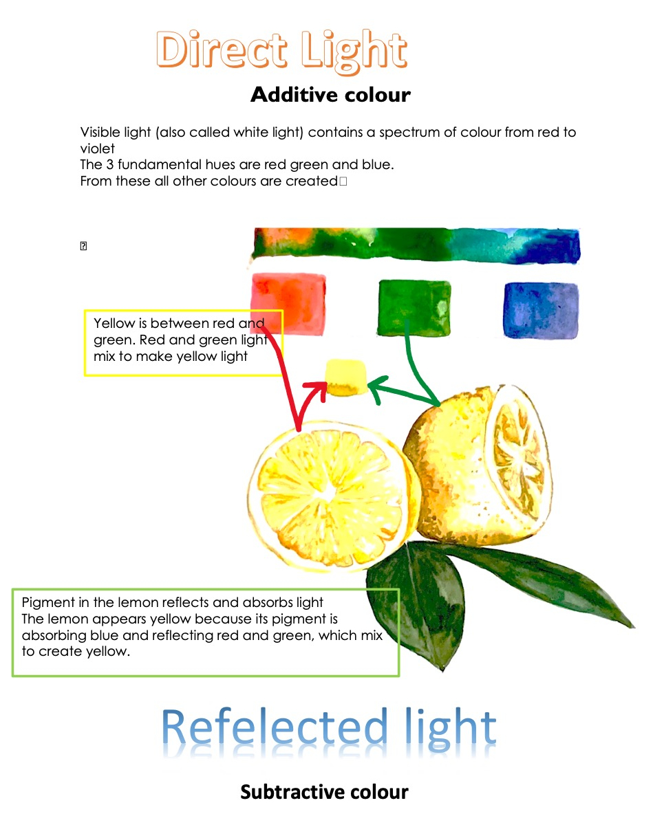 Colour, chemistry and crustaceans - Fran Science Art